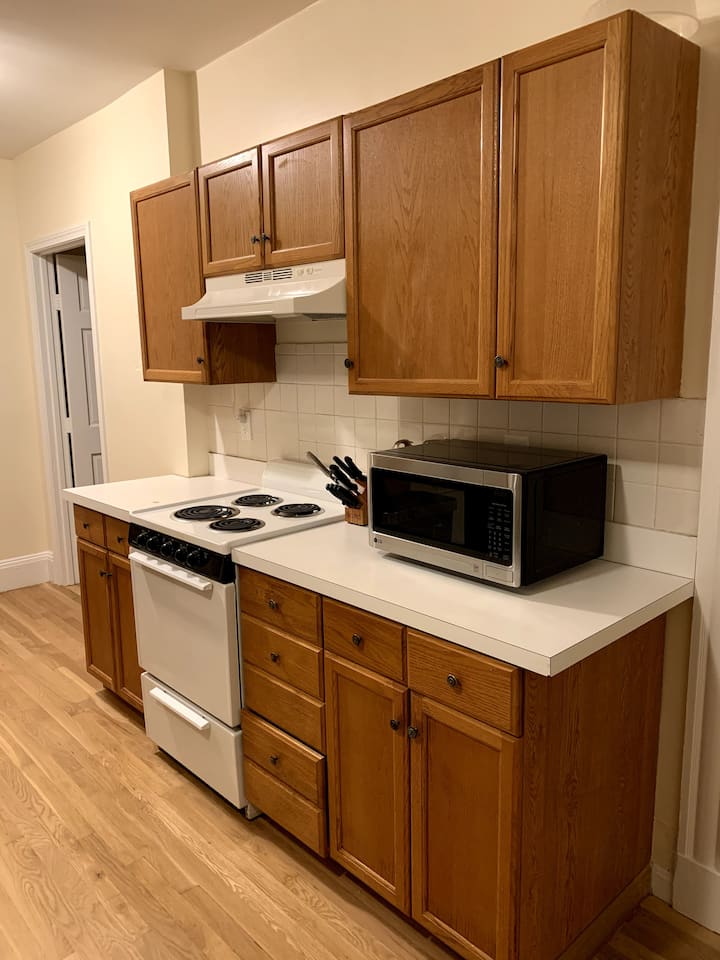 Private Room Double Bed And Pull Out Couch W/ A.c. - Dedham, MA
