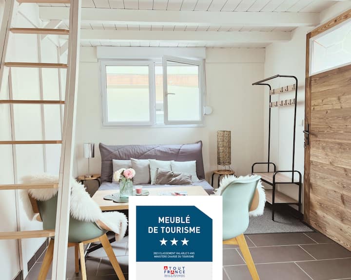 Le Loft Mandallaz - Centre Ville - Lake Annecy