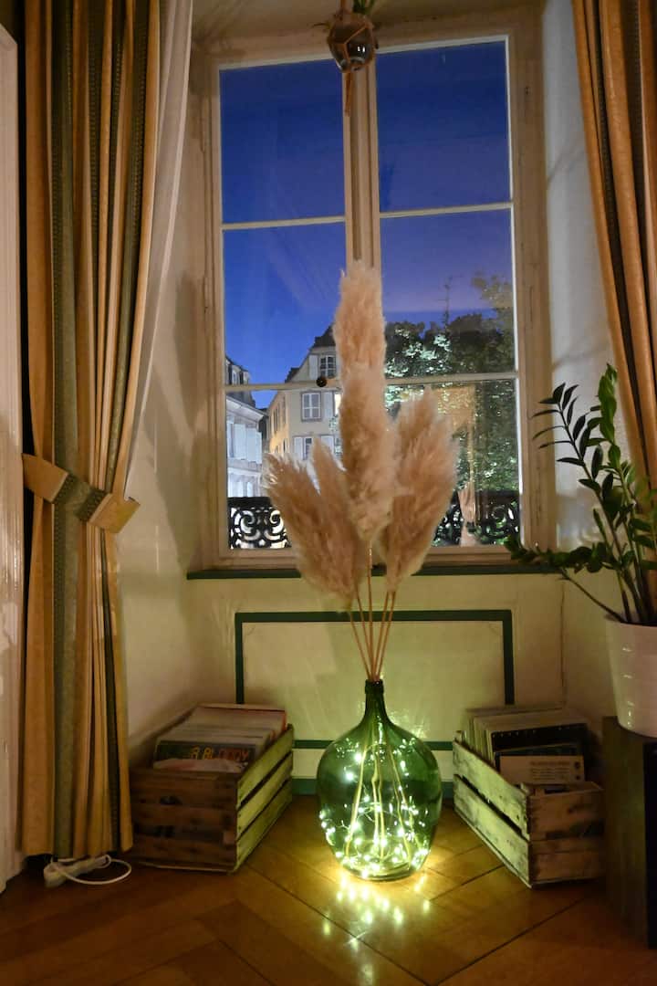 Vintage Apartment In Historical City Center - Strassburg