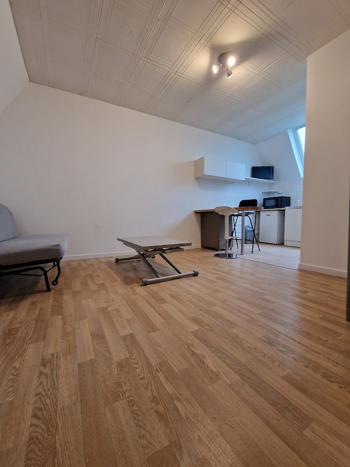 Studio Tout Confort à Deux Pas De Tours - Tours