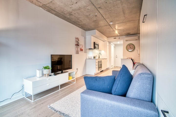 Studio Condo Ideal For Professionals & Students - Montreal