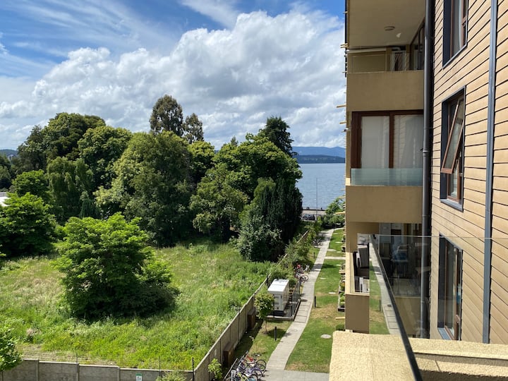 Bello Departamento Frente A Lago - Villarrica