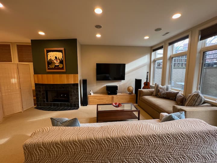 Beautiful Studio Great Location! - Chicago