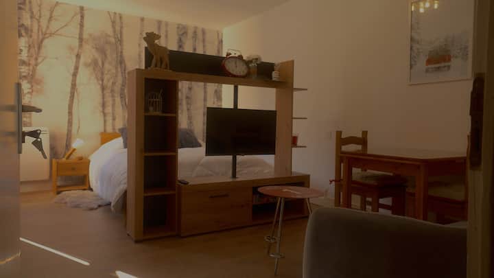 Studio 3* Les Bouleaux Au Pied Des Pistes - Etang du Lanoux