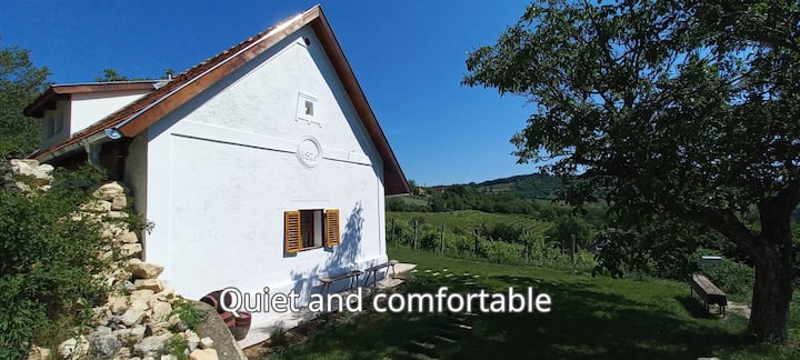 Press House At The Walnut Tree (Mypresshouse) - Veszprém