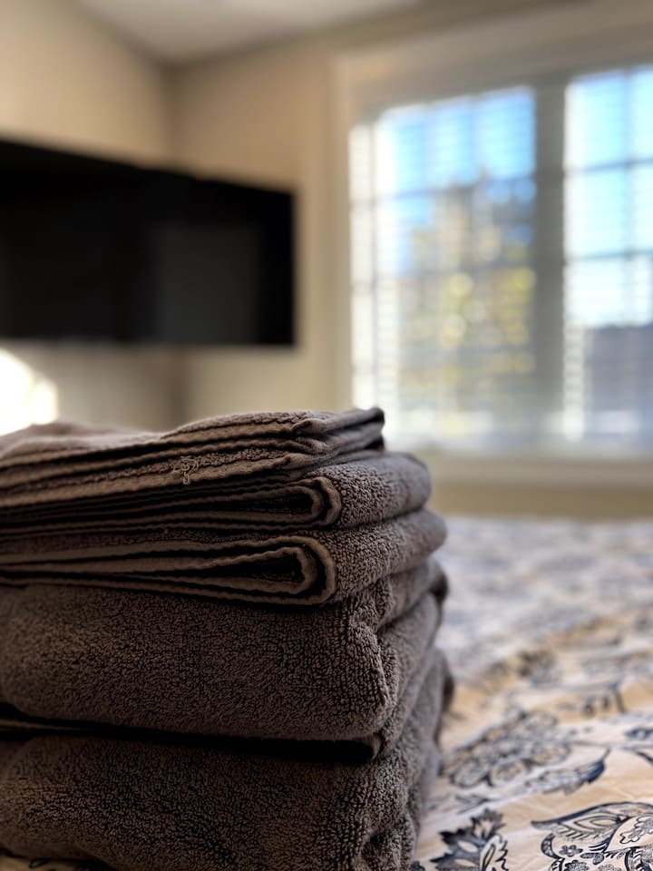 Beautiful Oasis In Northeast Dc - Washington, DC