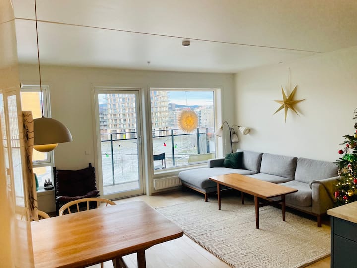 4-roms Sentralt I Oslo - 奧斯陸