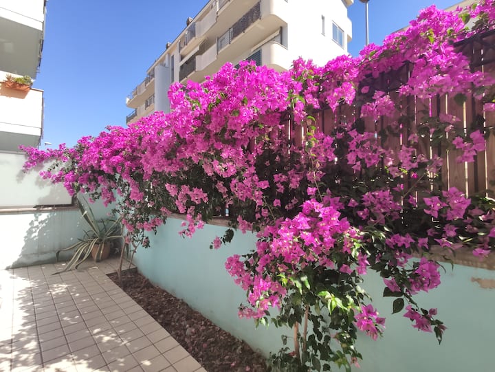 Gardenhouse Un Angolo Di Paradiso - Montesilvano