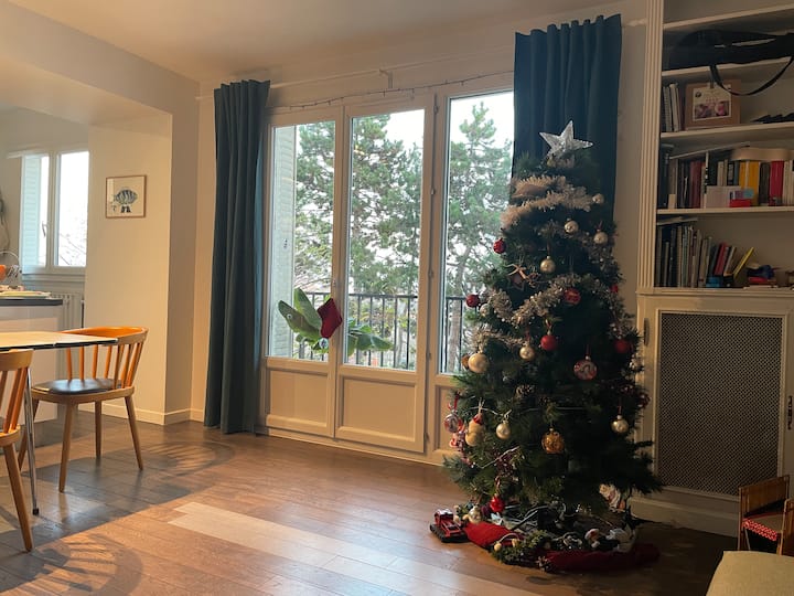 App. T3 Saint-maur-des-fossés - Saint-Maur-des-Fossés