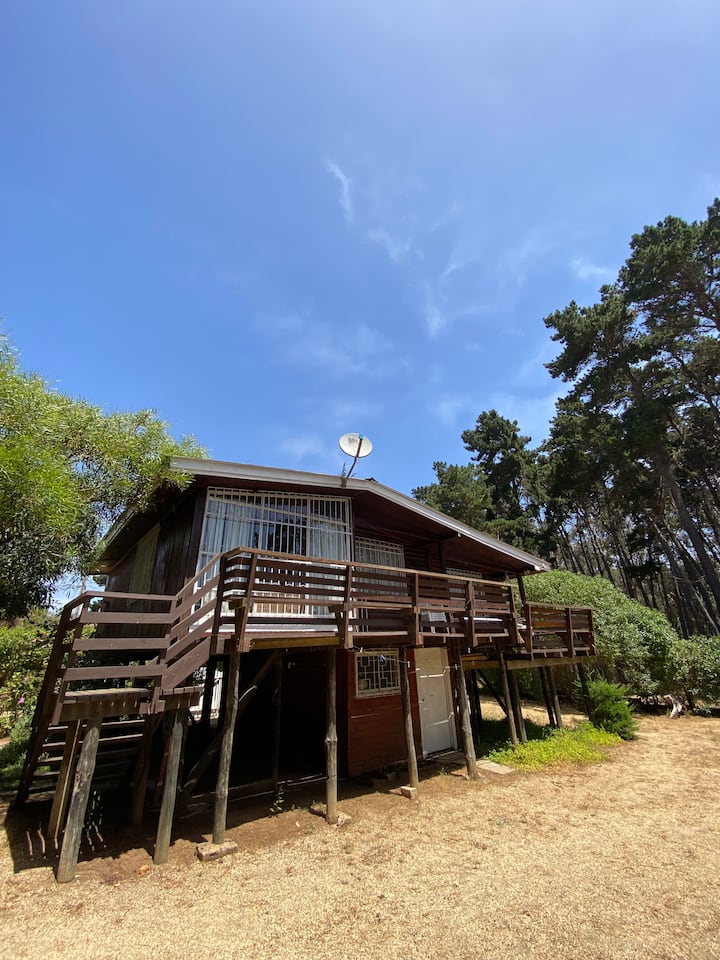 Casa Bosque Algarrobo - El Quisco