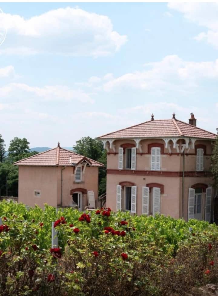 Gîte De La Demoiselle - Fleurie
