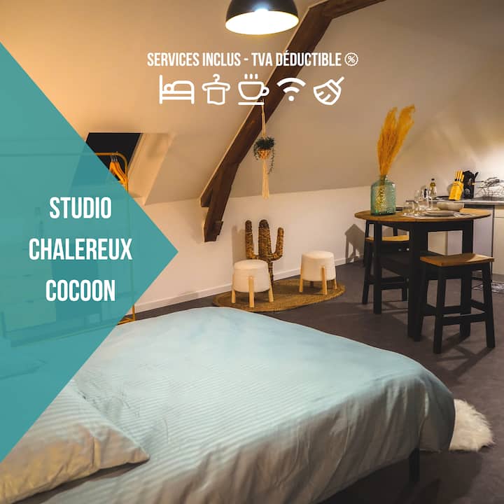 Le Nid • Cocoon • Netflix • Proche Centre-ville - Châteauroux