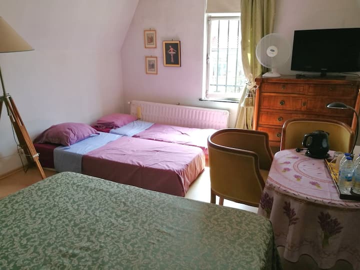 B&b Des Etangs : Ravissante Maison De Charme - Brussels