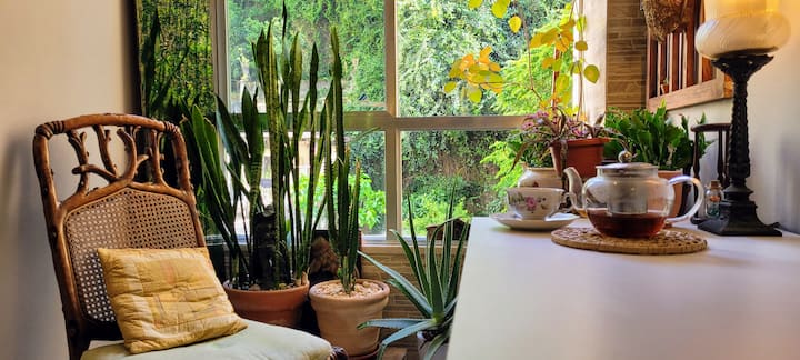 Refúgio No Buchicho Da Glória. - Glória