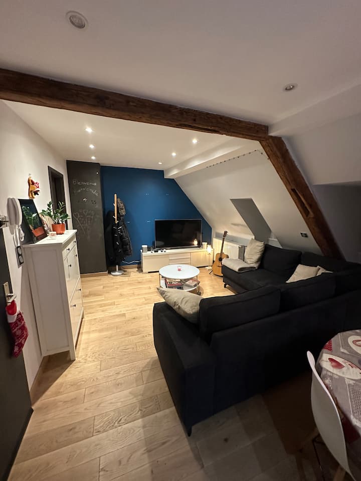 Vieux Colmar Duplex Exceptionnel - Eguisheim