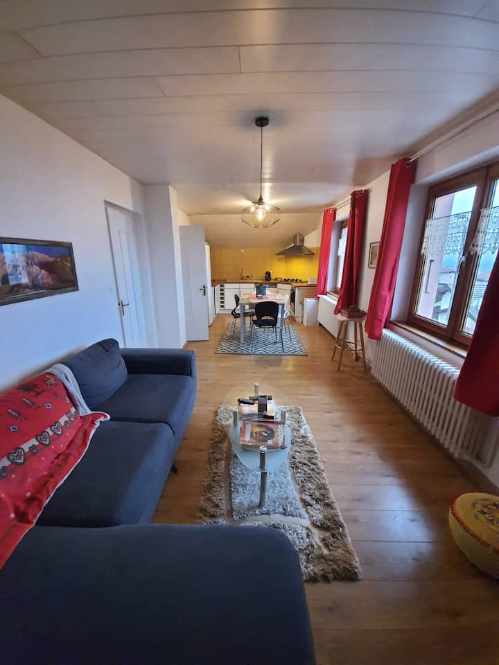 F3 66m2 Dans Maison-superbe Vue Lac-jardin-parking - Évian-les-Bains
