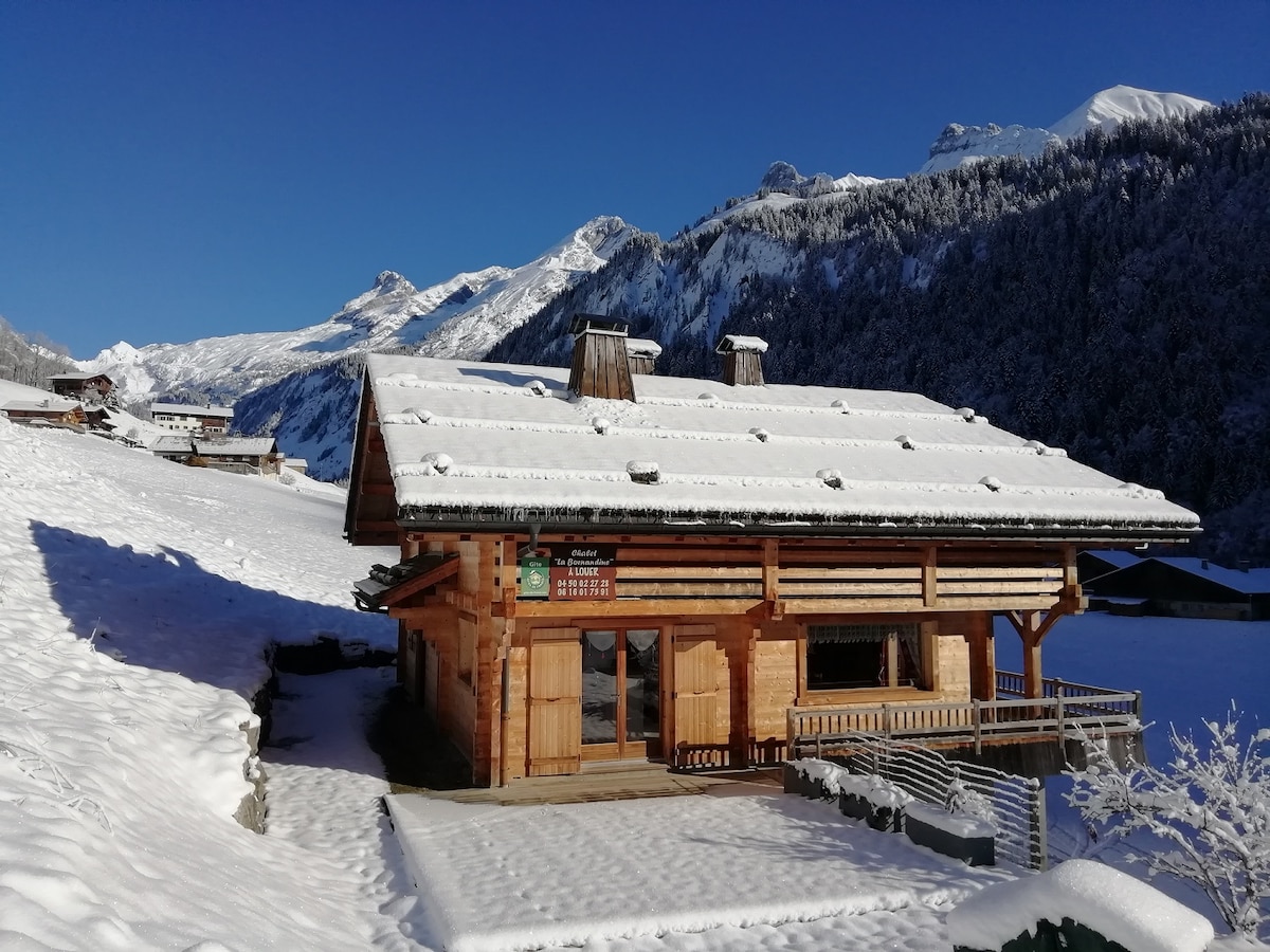 individual chalet facing the mountains - Chalets for Rent in Le Grand ...