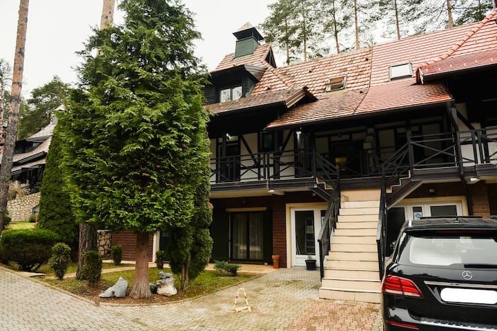 Kraljevi Konaci - Zlatibor