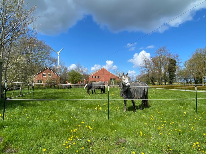 Fewo Schillig -Ferienhof Mischke - Werdum