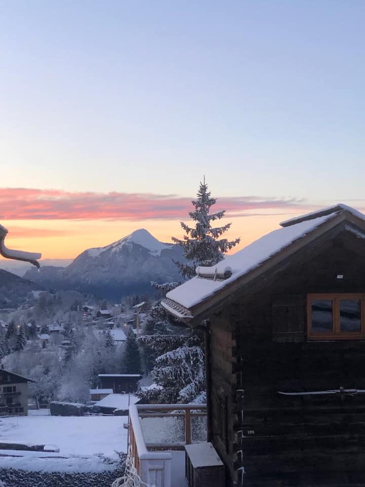 Appartement Au Carroz D'araches - Les Carroz d'Arâches