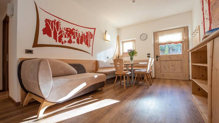 Chalet Snowflake - Canton - Livigno