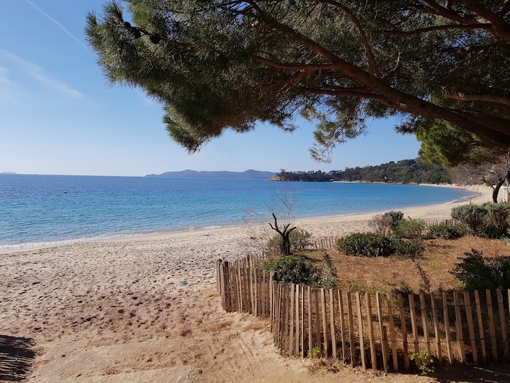 Chez Virginie Et Laurent - Le Lavandou