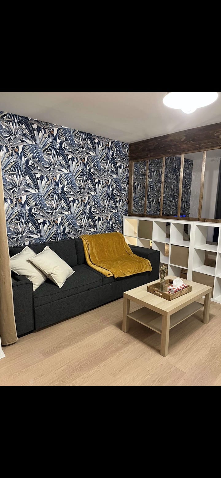 Bourg En Bresse : 
Appartement Cosy Et Lumineux - Bourg-en-Bresse