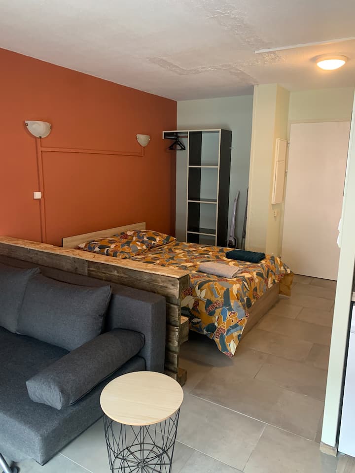 Studio Climatise Havre De Paix Parking - Lourdes