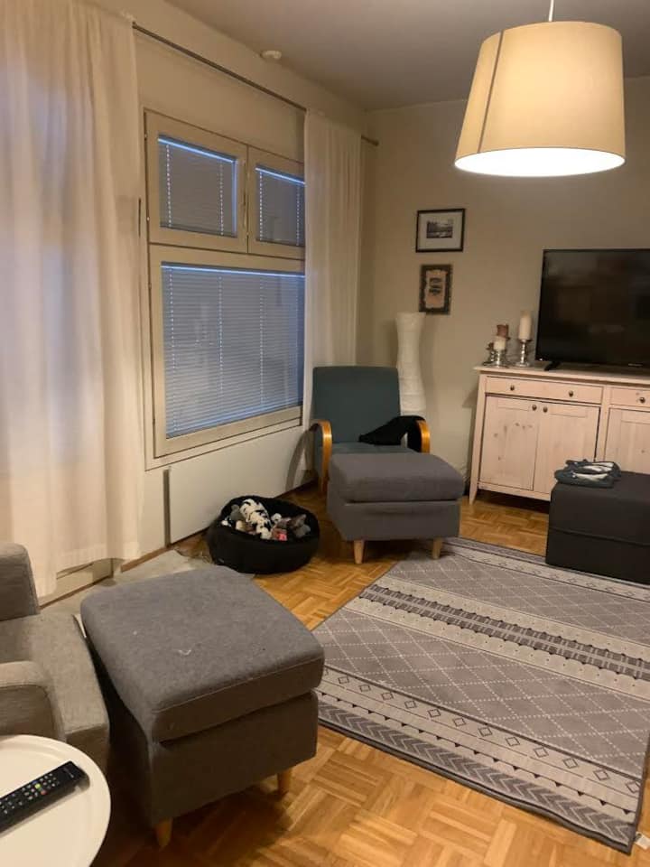 Holiday Home Nearby City Center - Rovaniemi