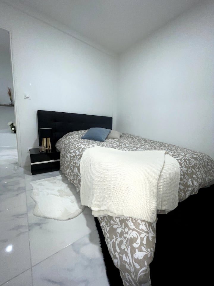 2-magnifique Appartement Sur Reims - Reims