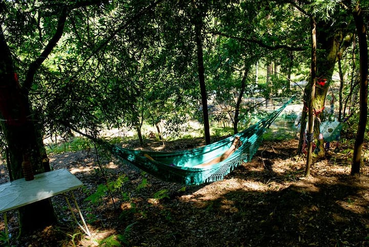 Cabana Prefabricada - Paredes de Coura