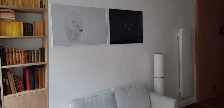 Appartement Idéalement Situé - Paris