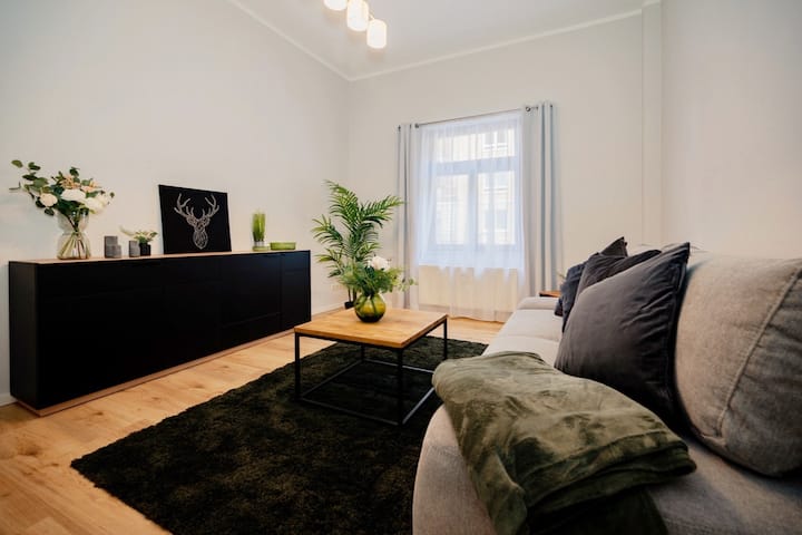 Wonderfull Spacious Apartment W/ Box Spring Beds - Dresde