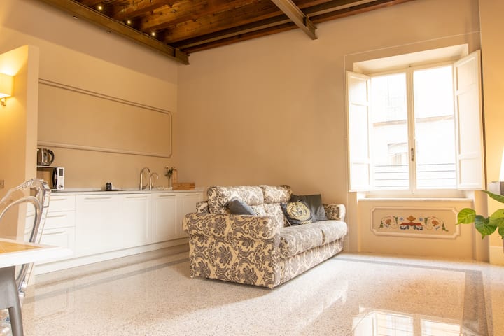 Elegant Suite · Piazza Napoleone View, Wi-fi & Ac - Lucca