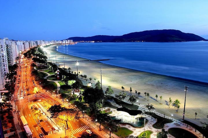 Apto Na Praia De Santos - Santos State