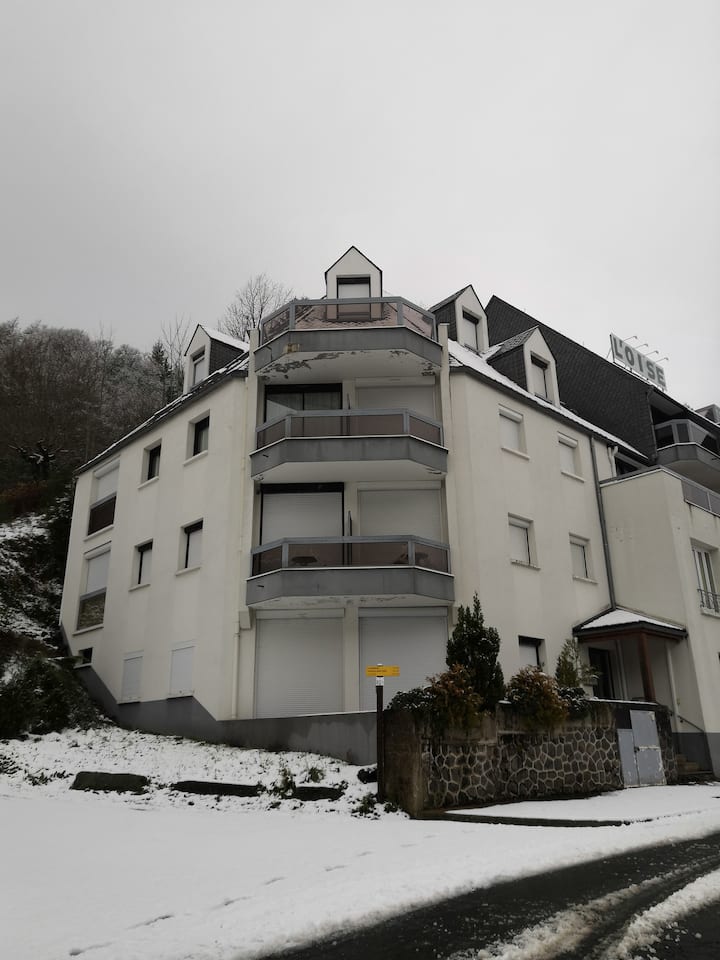 Location Appartement Mont Dore - Puy de Sancy