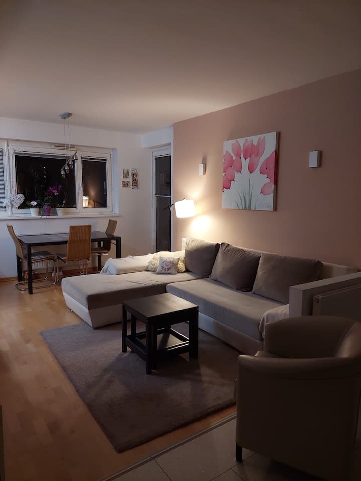 Cosy 2 Room Apartment -