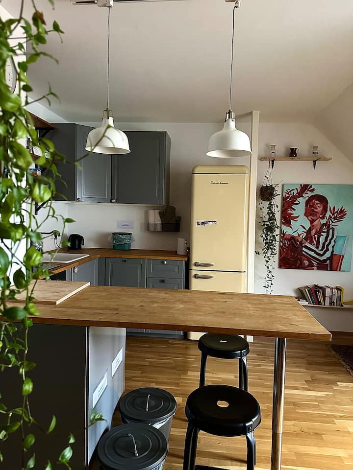 Central Graz Maisonette With Art & City View - Graz