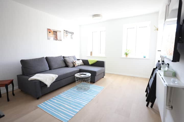 Hübsche Wohnung Am Fluss Traun Mit Terrasse - Gmunden