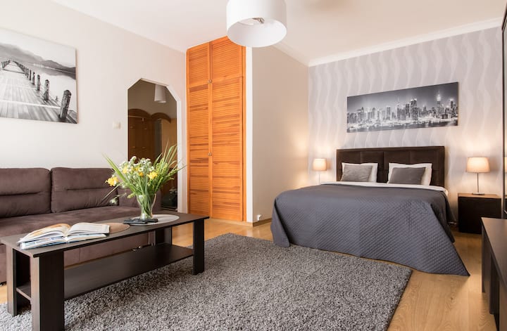 Modern Apt. At Classic Warsaw - Warsaw