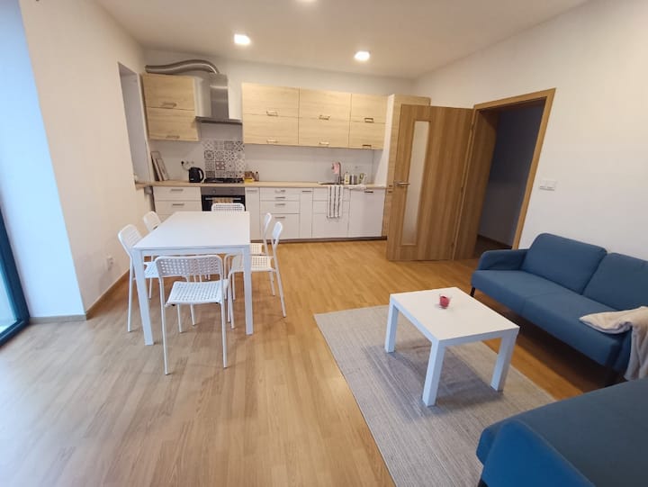 Spacious Apartment With Terrace. - Ceca