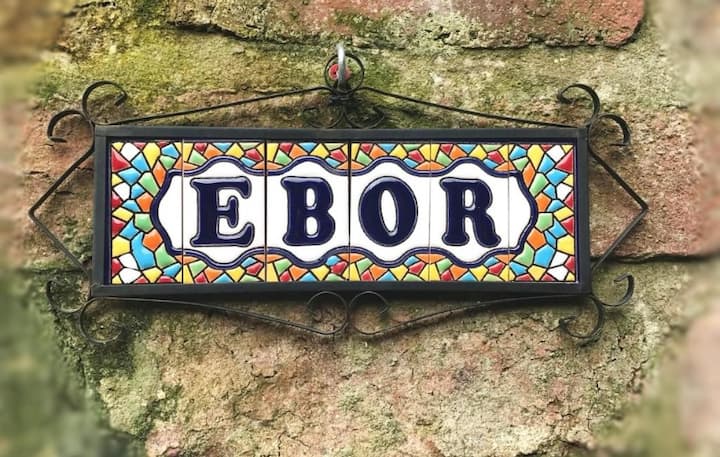 The Ebor Apartment -York - York