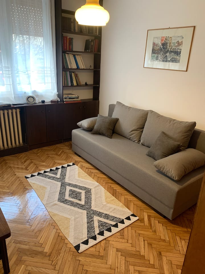 Cozy Flat In The City Center - Belgrade