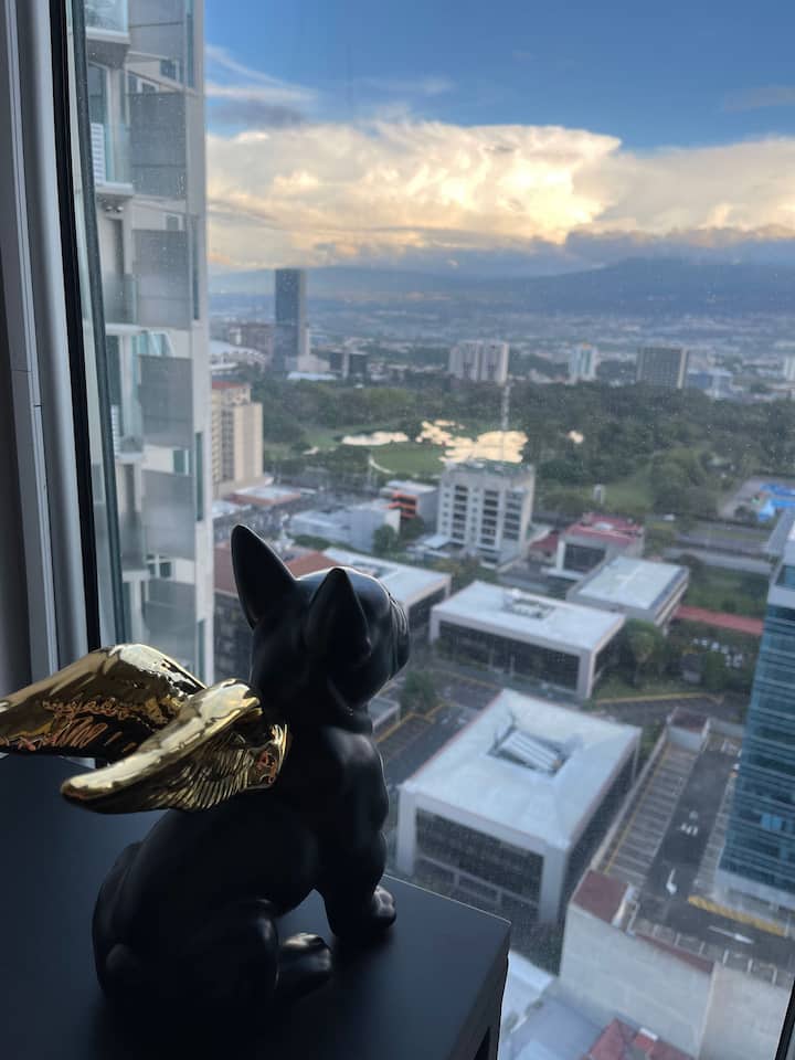 Gorgeous View  2 Bedroom/2 Bath With Ac/ Parking - San José