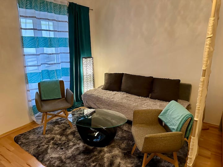 Comfy Apartment In City Centre - Wien