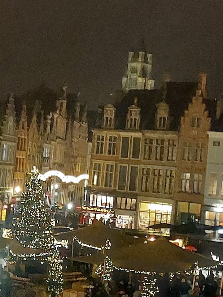 La Petite Venice Du Nord - Bruges