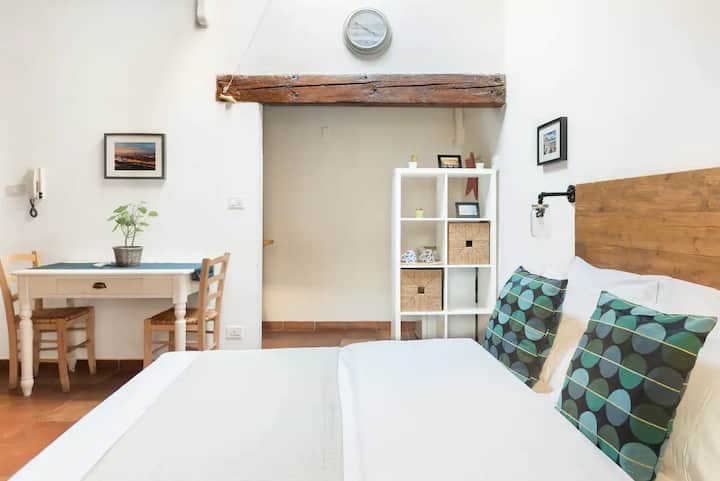 Grazioso Nel Cuore Di Firenze - Firenze