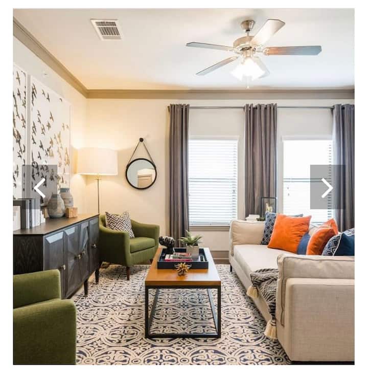 Luxury Relaxing Unit - Pearland, TX
