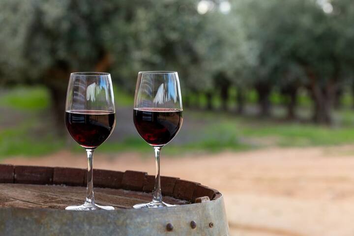 Waikerie Riverland Summer By The River - Waikerie