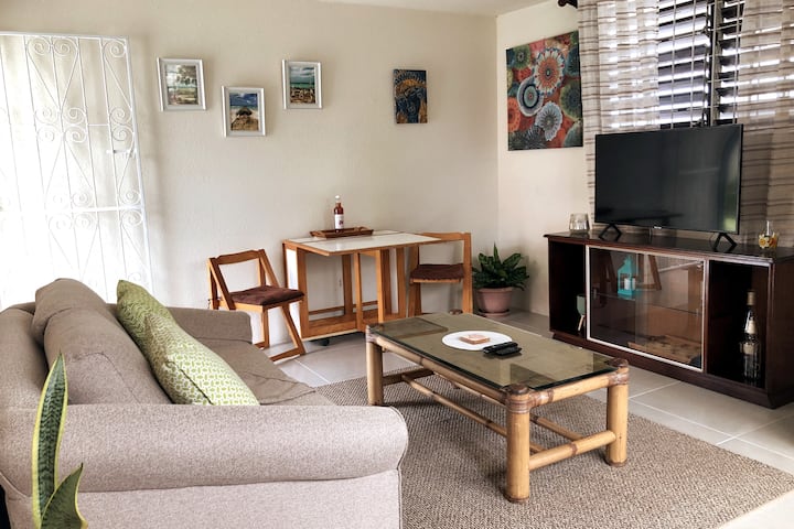 The Bajan Nook - 1 Bedroom Apt On The South Coast - Barbados